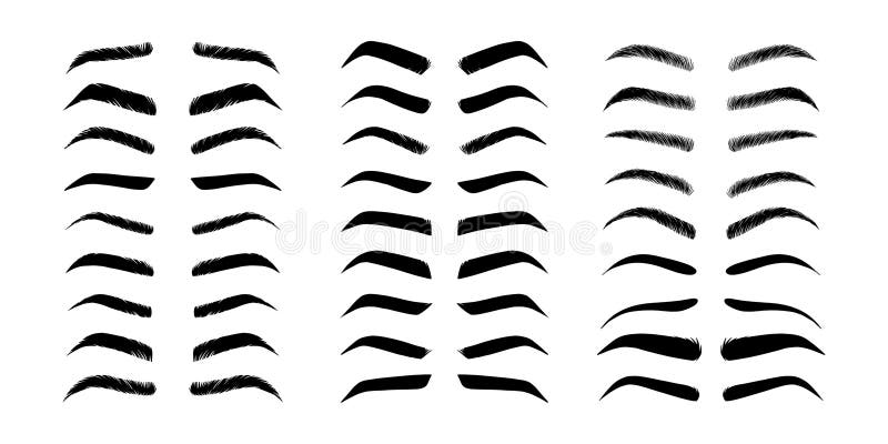 Isolated Eyebrows Set Cartoon. Eyebrow Makeup Template. Classic Brow ...