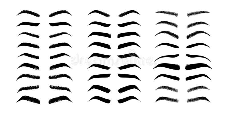 Isolated Eyebrows Set Cartoon. Eyebrow Makeup Template. Classic Brow ...
