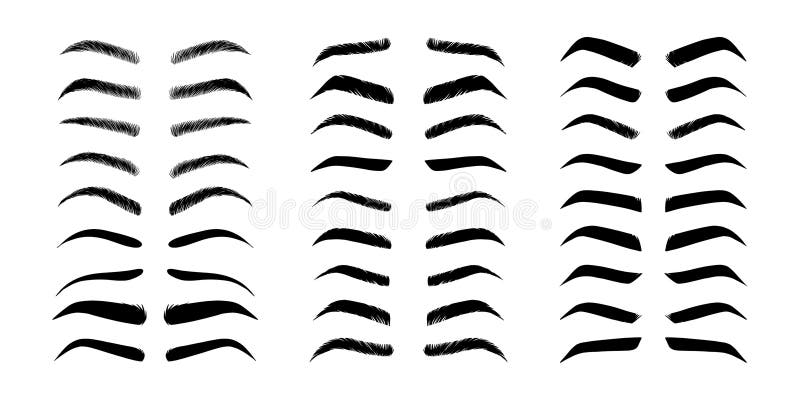 Isolated Eyebrows Set Cartoon. Eyebrow Makeup Template. Classic Brow ...
