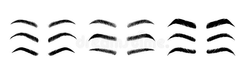 Isolated Eyebrows Set Cartoon. Eyebrow Makeup Template. Classic Brow ...