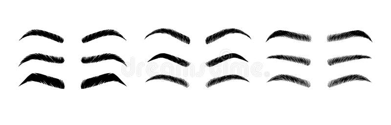 Isolated Eyebrows Set Cartoon. Eyebrow Makeup Template. Classic Brow ...