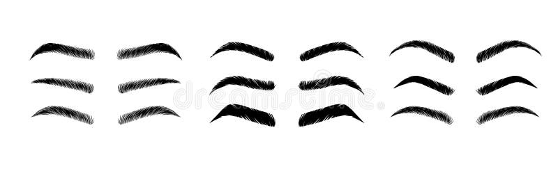 Isolated Eyebrows Set Cartoon. Eyebrow Makeup Template. Classic Brow ...