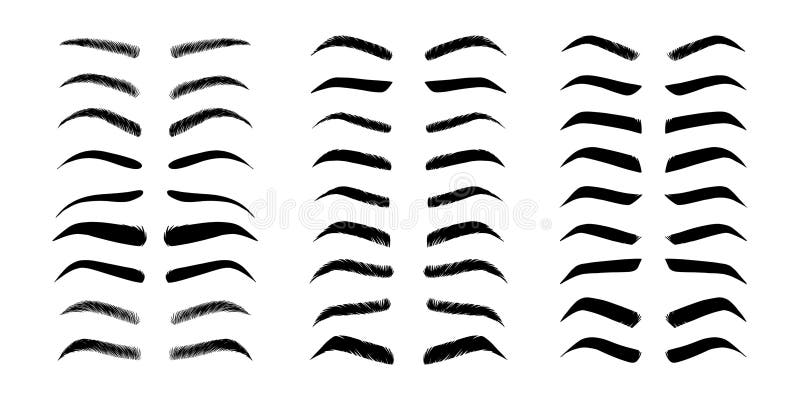 Isolated Eyebrows Set Cartoon. Eyebrow Makeup Template. Classic Brow ...