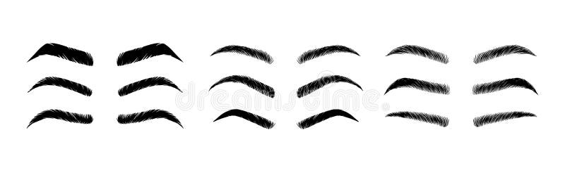 Isolated Eyebrows Set Cartoon. Eyebrow Makeup Template. Classic Brow ...
