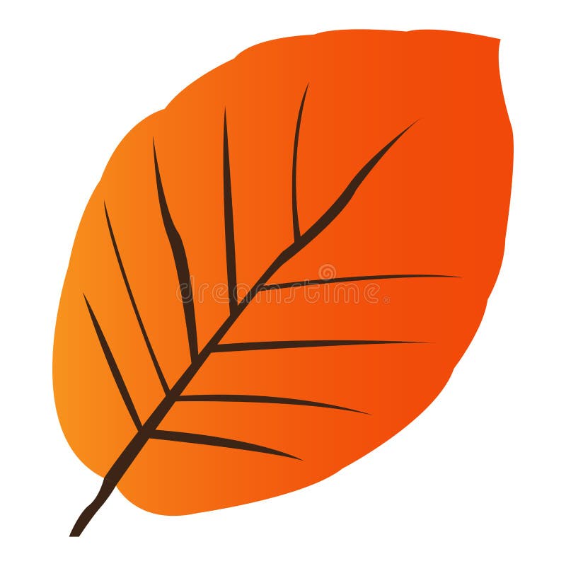 Isolated fall leaf stock vector. Illustration of bright - 100800977