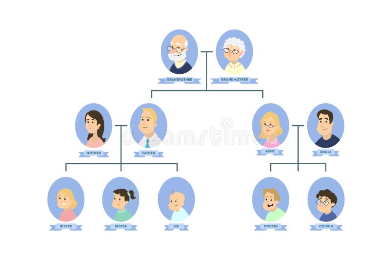 Isolated family tree. stock vector. Illustration of adult - 102466898