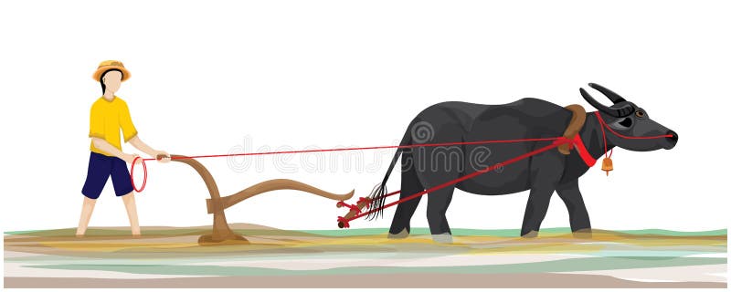 Isolated Farmer Plow in Paddy Field Stock Vector - Illustration of ...