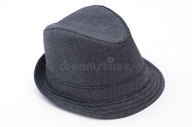 Isolated Fedora stock photo. Image of wear, head, cover - 5899646