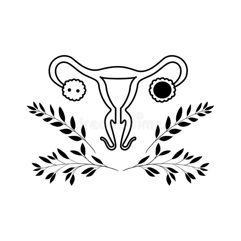 The Female Reproductive System Stock Vector