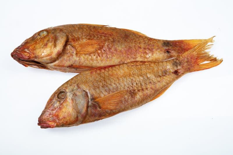 Isolated Fish stock image. Image of healthy, lemon, diet - 204270831