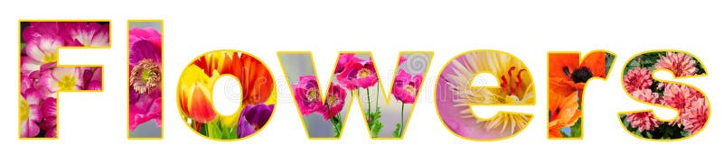 Flower Heading - Illustration Stock Vector - Illustration of sign ...