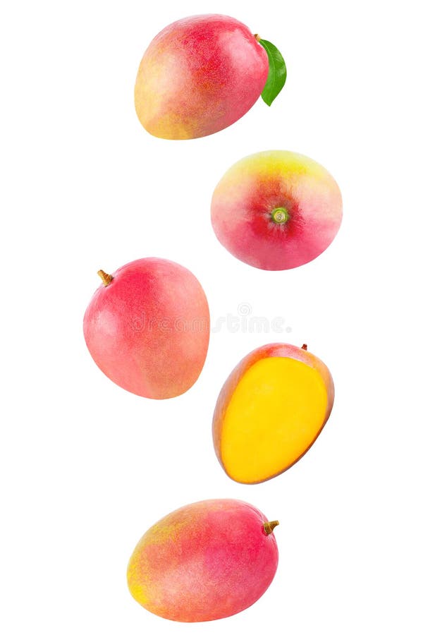 Whole Mango Fruit Isolated on White Background. Stock Photo - Image of ...