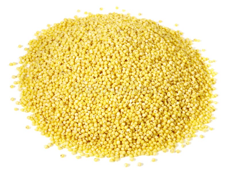 557 Golden Millet White Background Stock Photos - Free & Royalty-Free ...
