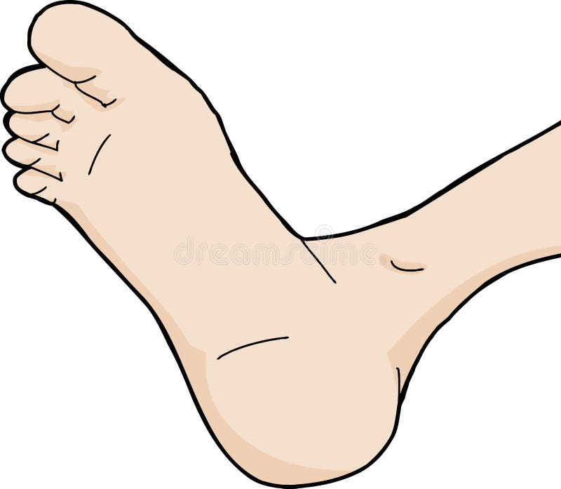 Isolated Foot stock vector. Illustration of feet, single - 42315084