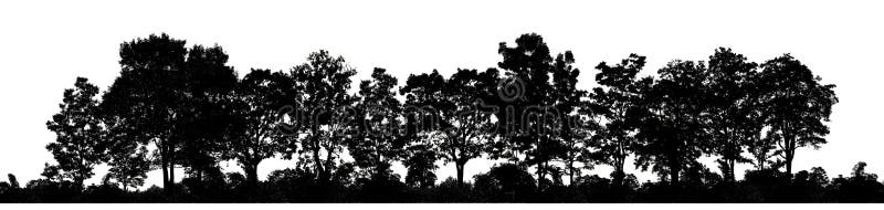Isolated Forest Silhouette on White Background with Intersection and ...