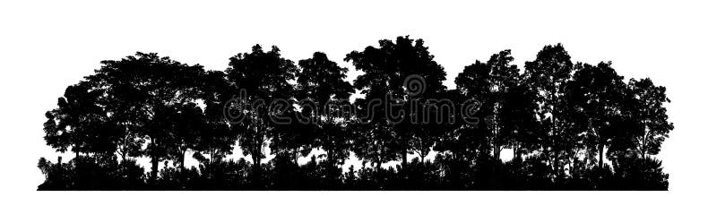 Isolated Forest Silhouette on White Background . Stock Illustration ...