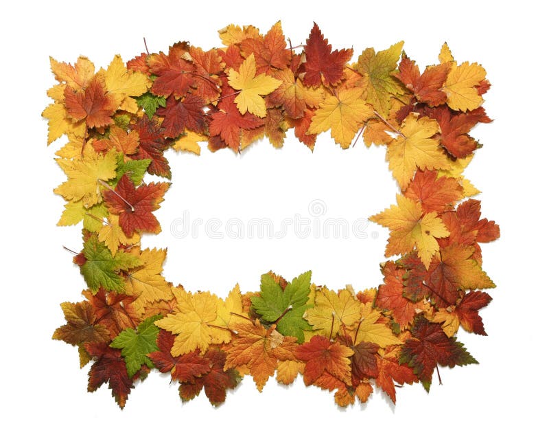 Isolated Frame of Fall Leaves Stock Photo - Image of white, fall: 21443622