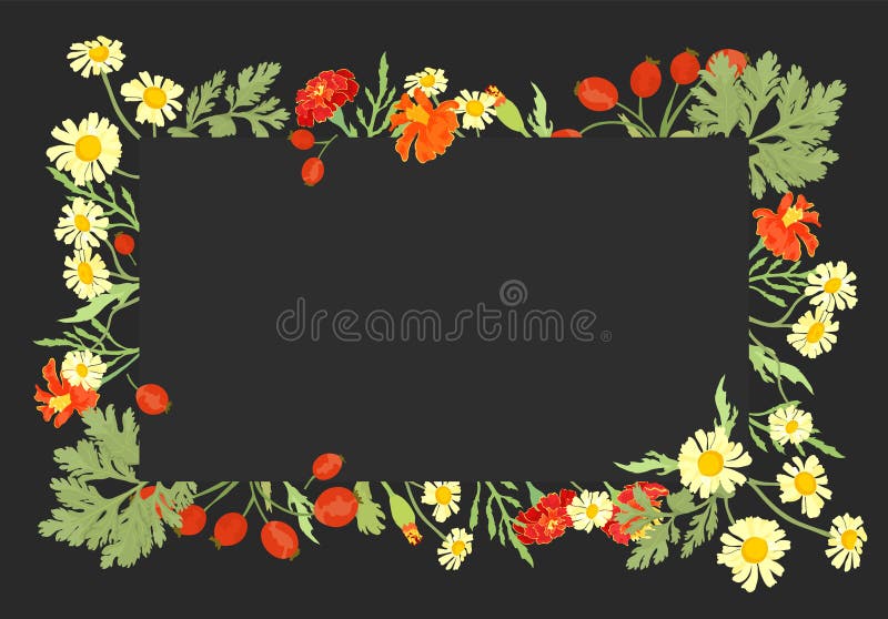 Isolated Frame with Hand Drawn Garden Flowers Stock Vector ...