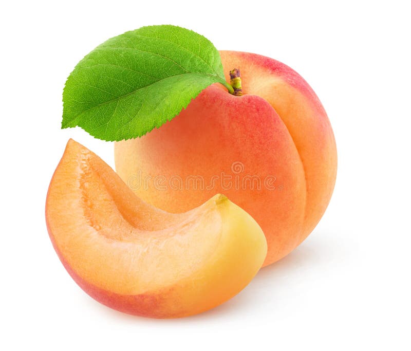 Isolated Apricot Pieces Collection Stock Image - Image of background ...