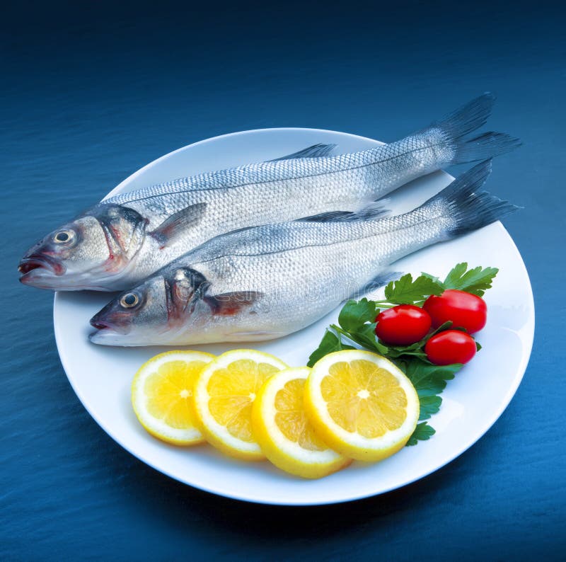 Fresh sea bass fish stock photo. Image of seafood, eating - 19603542