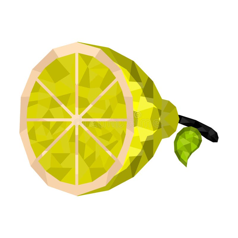 Isolated Geometric Lemon Cut. Low Poly Stock Vector - Illustration of ...