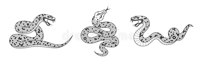 Isolated Geometric Snakes Set Stock Vector - Illustration of stroke ...