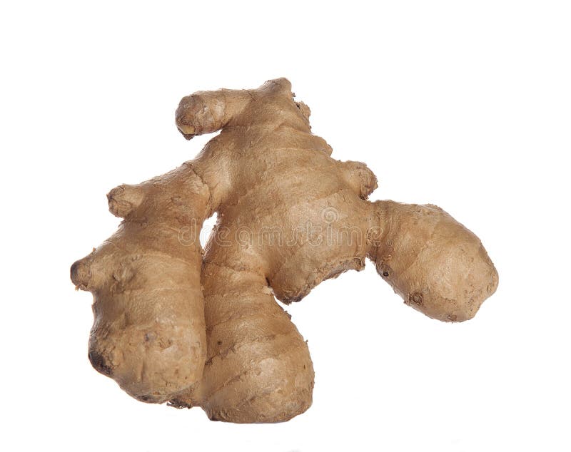 Ginger root stock photo. Image of diet, root, organic - 6062782