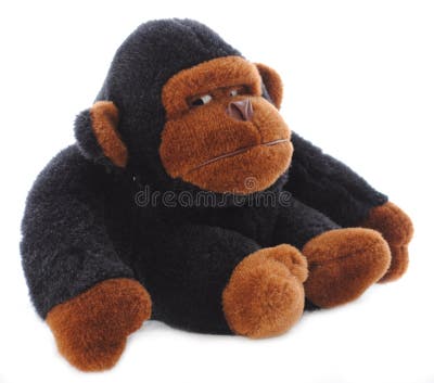1,021 Fat Monkey Stock Photos - Free & Royalty-Free Stock Photos from ...