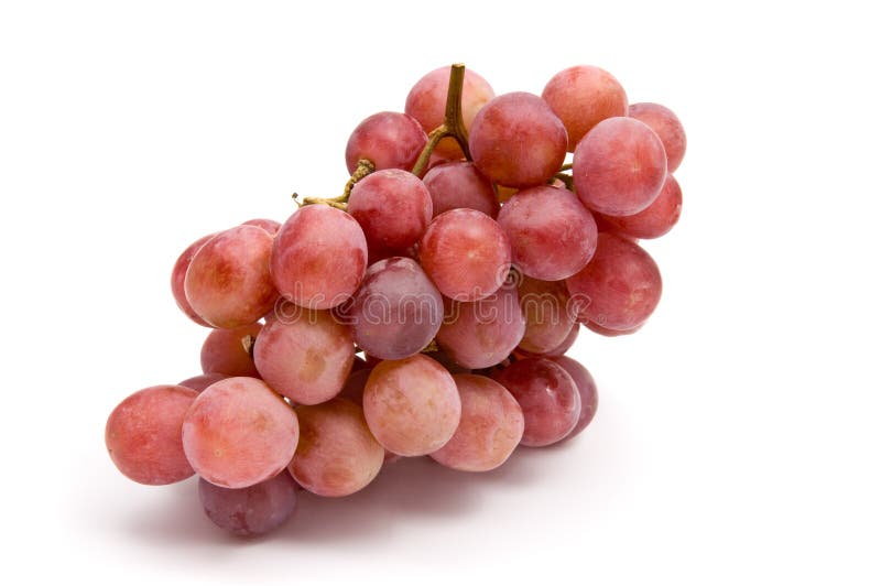 Isolated grape stock image. Image of agriculture, vine - 8309199
