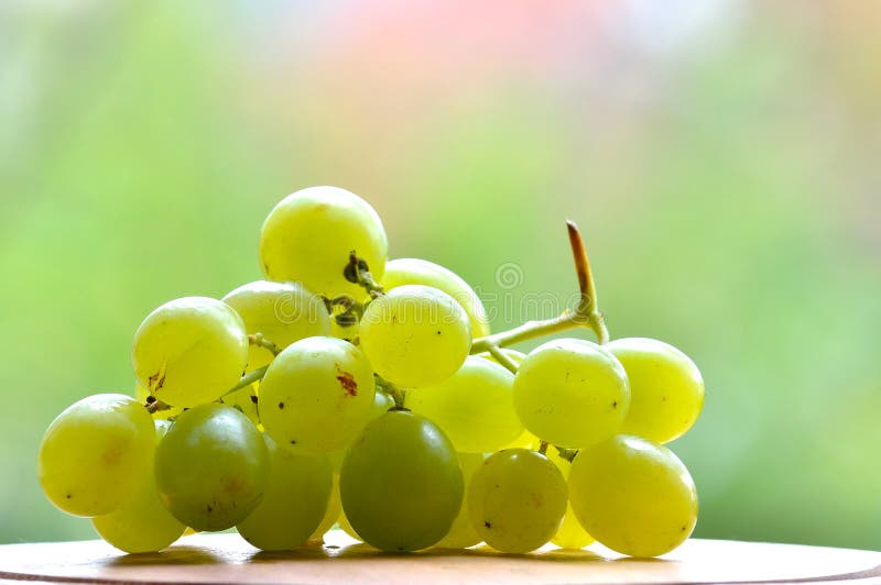 Isolated grape stock photo. Image of food, natural, grape - 33811630