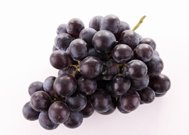Isolated grapes stock image. Image of juicy, food, black - 24475095