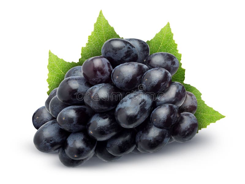 Isolated Grapes Bunch. Pile of Dark Blue Grapes with Leaves Isolated on ...