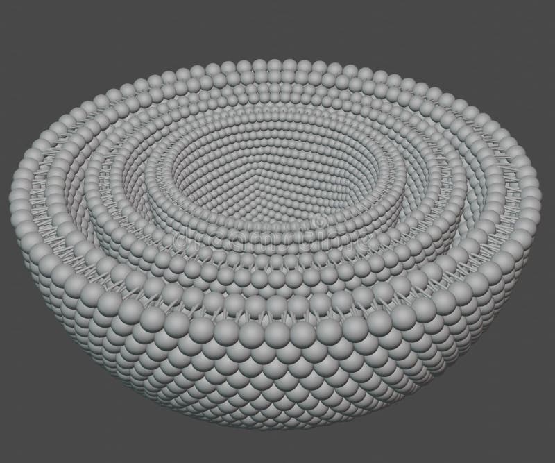 Lamellar Vesicle Stock Illustrations – 15 Lamellar Vesicle Stock ...