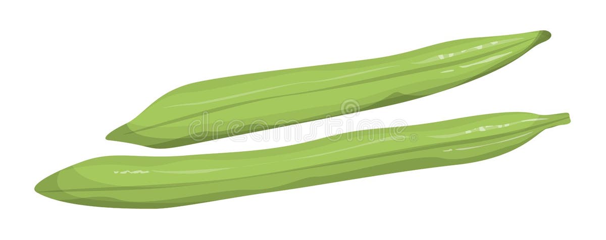 Runner Beans Stock Illustrations – 468 Runner Beans Stock Illustrations ...