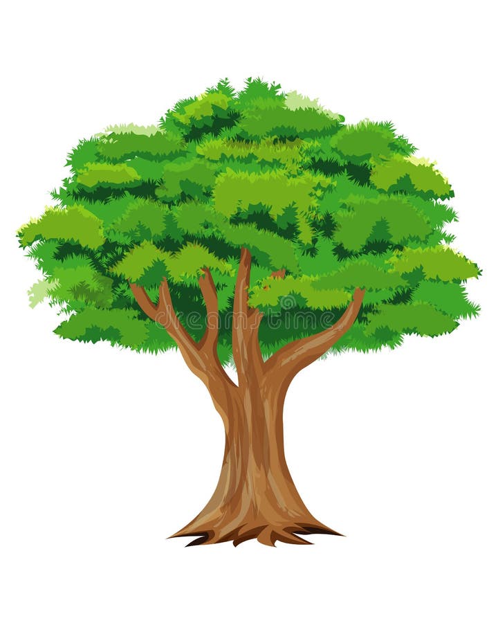 Isolated green tree stock vector. Illustration of forest - 141339184