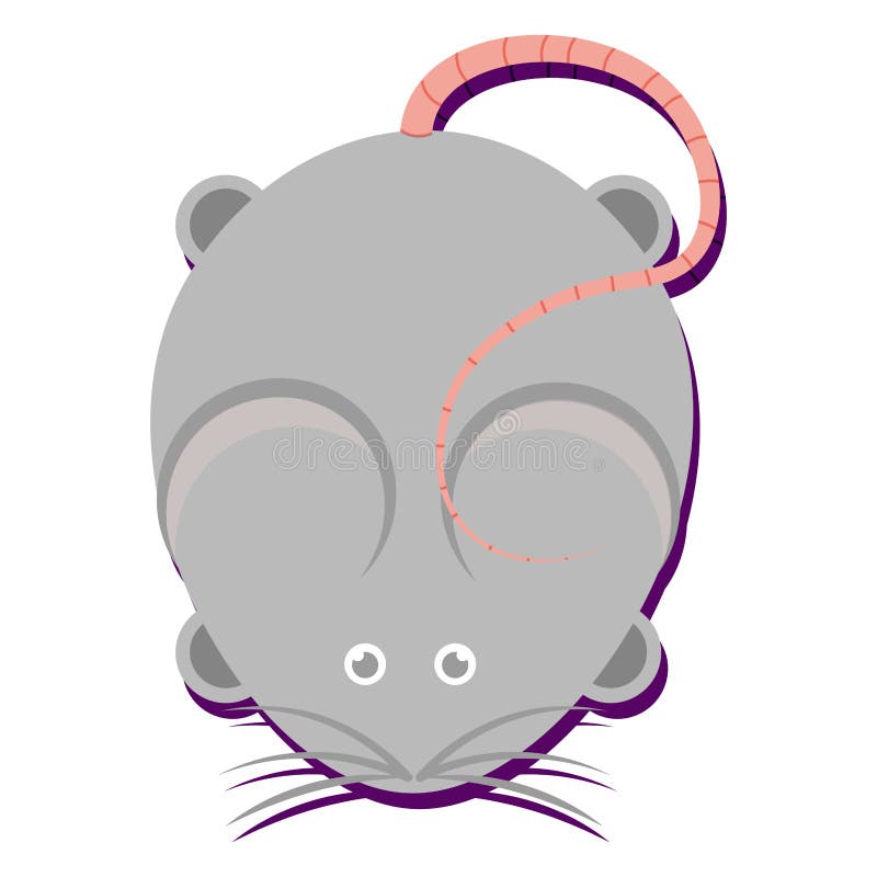 Isolated Grey Mouse Cartoon Stock Vector - Illustration of cute, design ...