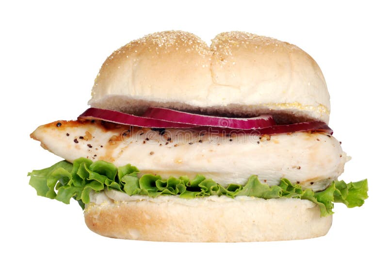 Grilled Chicken Sandwich with Red Onions Stock Photo - Image of roll ...