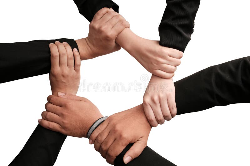 Isolated Group of Diverse Hands Stock Image - Image of success ...