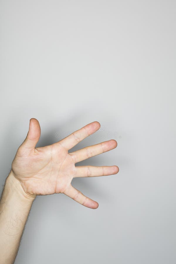 Isolated hand gesture stock photo. Image of human, isolated - 72908942