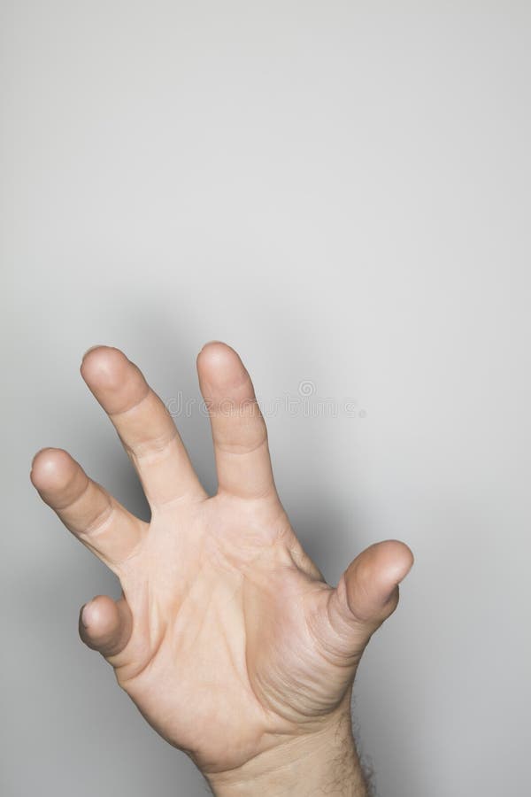 Isolated hand gesture stock photo. Image of five, hand - 72909088