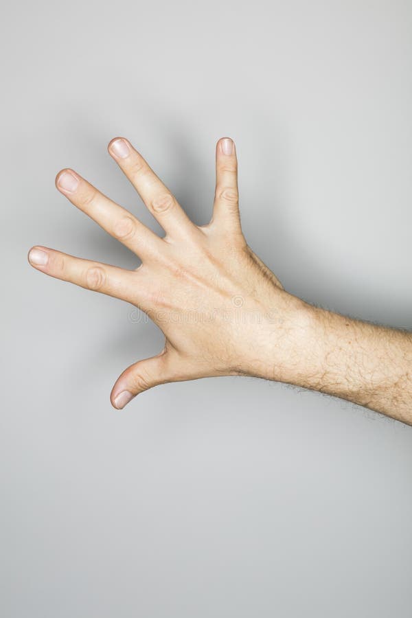Isolated hand gesture stock photo. Image of body, five - 72909642