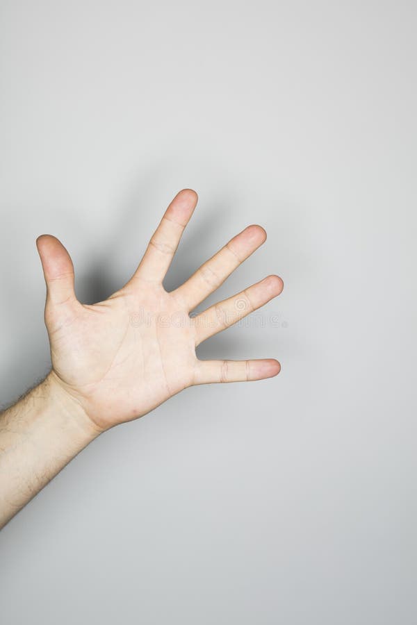 Isolated hand gesture stock image. Image of hello, open - 72911467
