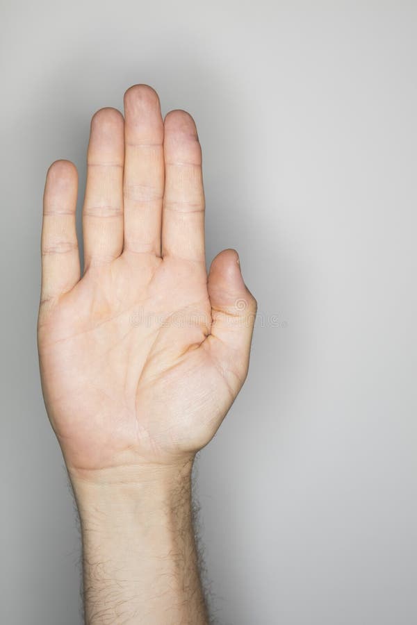 Isolated hand gesture stock image. Image of gesture, copy - 72912333