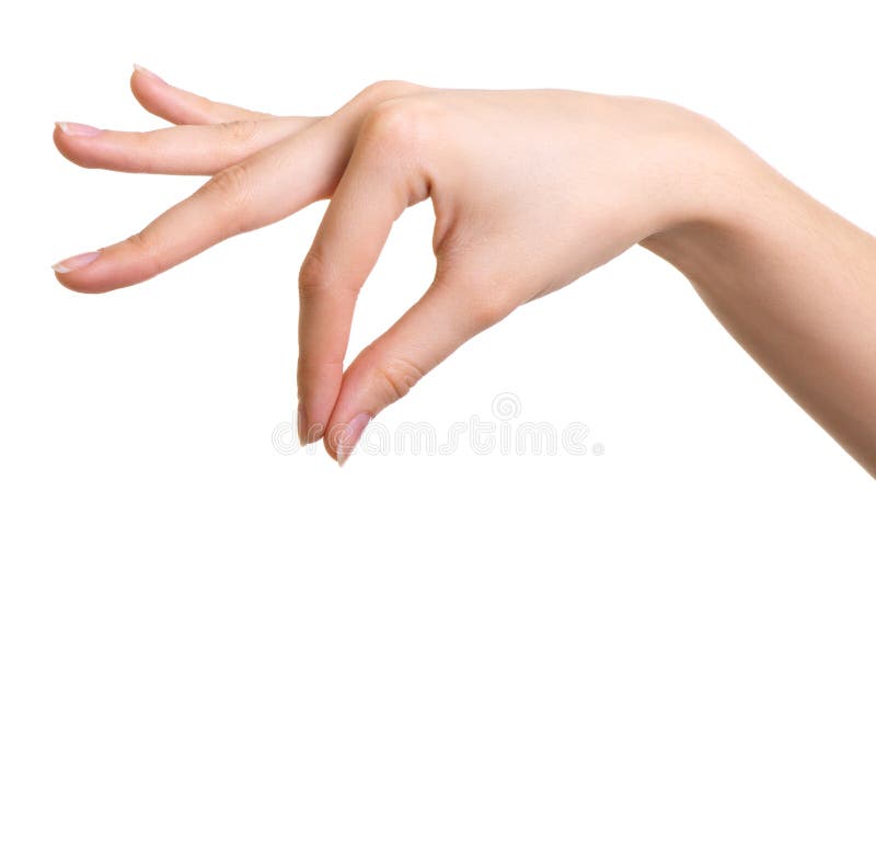 Isolated Hand Holding Object Stock Photo - Image of female, ideas: 18601700