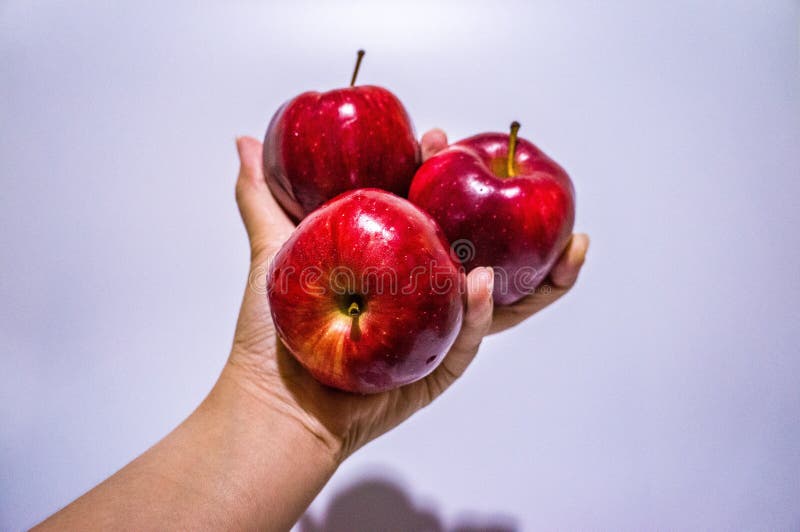 Hand Holding Three Fresh Red Apples Stock Photo - Image of concept ...
