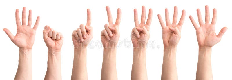 Isolated Hands, Showing Numbers 1 To 5 Plus a Left Hand for Numbers 6 ...