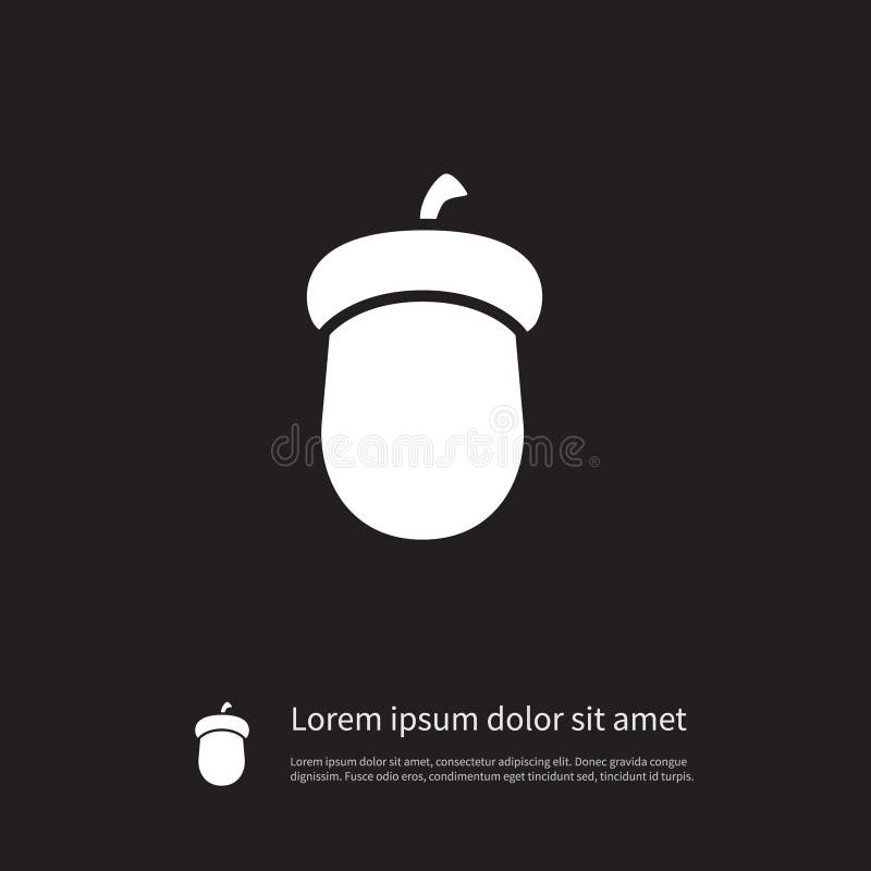 Isolated Hazel Icon. Nutwood Vector Element Can Be Used for Nut ...