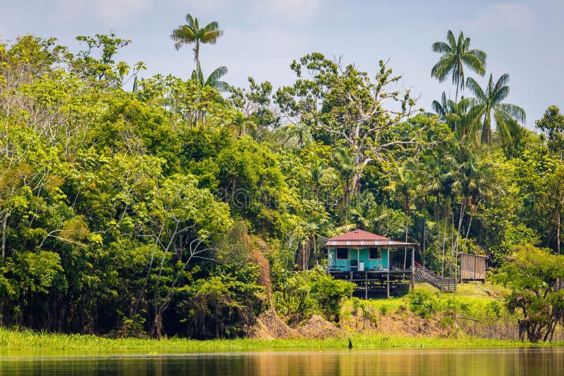 Isolated House in the Jungle of Amazon Tropical River Stock Image ...