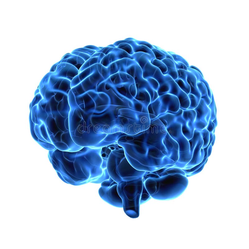 Isolated Human Brain Hologram on White Background Stock Illustration ...