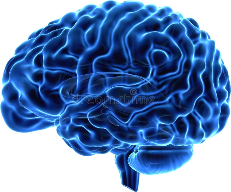 Isolated Human Brain Hologram on White Background Stock Illustration ...